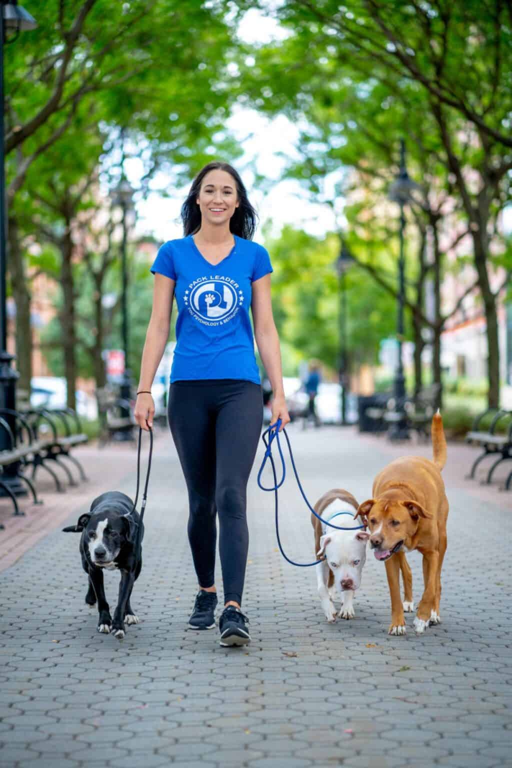 Dog Training - Pack Leader Dogs